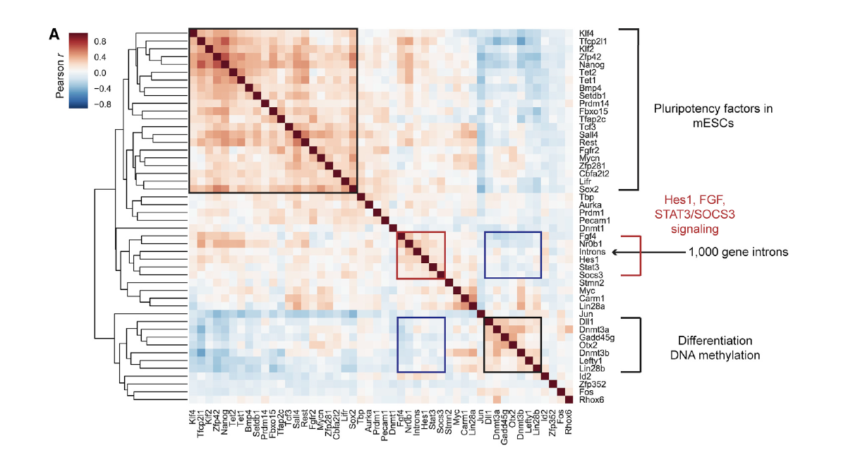 Allen Discovery Center for Lineage Tracing